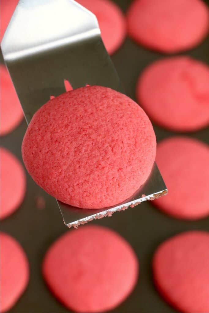 Raspberry Jello Sugar Cookies - Inspirational Momma