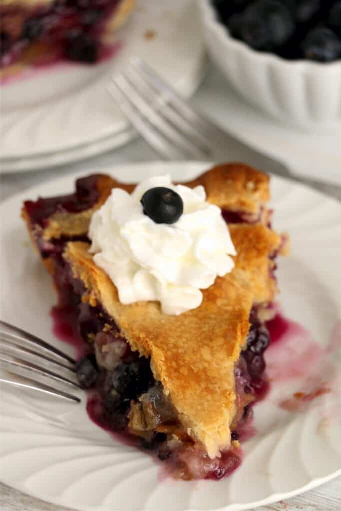 Rhubarb Blueberry Pie - Inspirational Momma