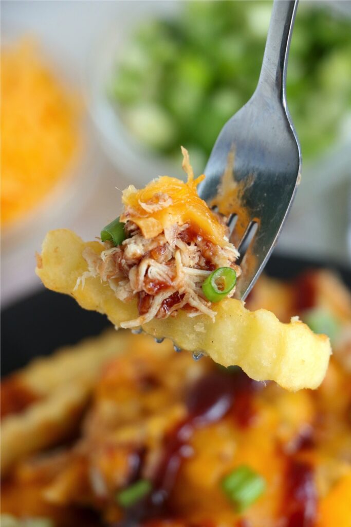 Pulled Pork Fries - Inspirational Momma