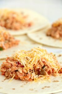 Easy Crispy Chicken Salsa Wraps - Inspirational Momma