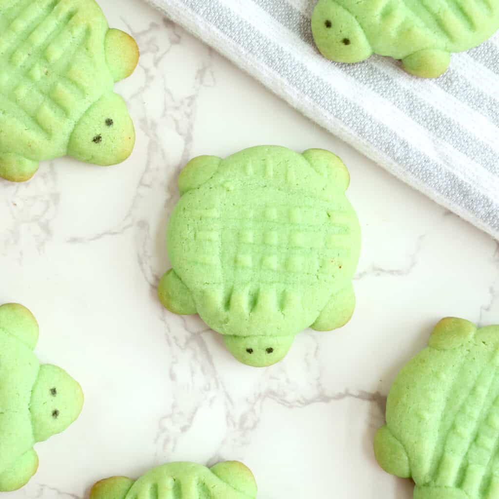 Turtle Sugar Cookies - Inspirational Momma