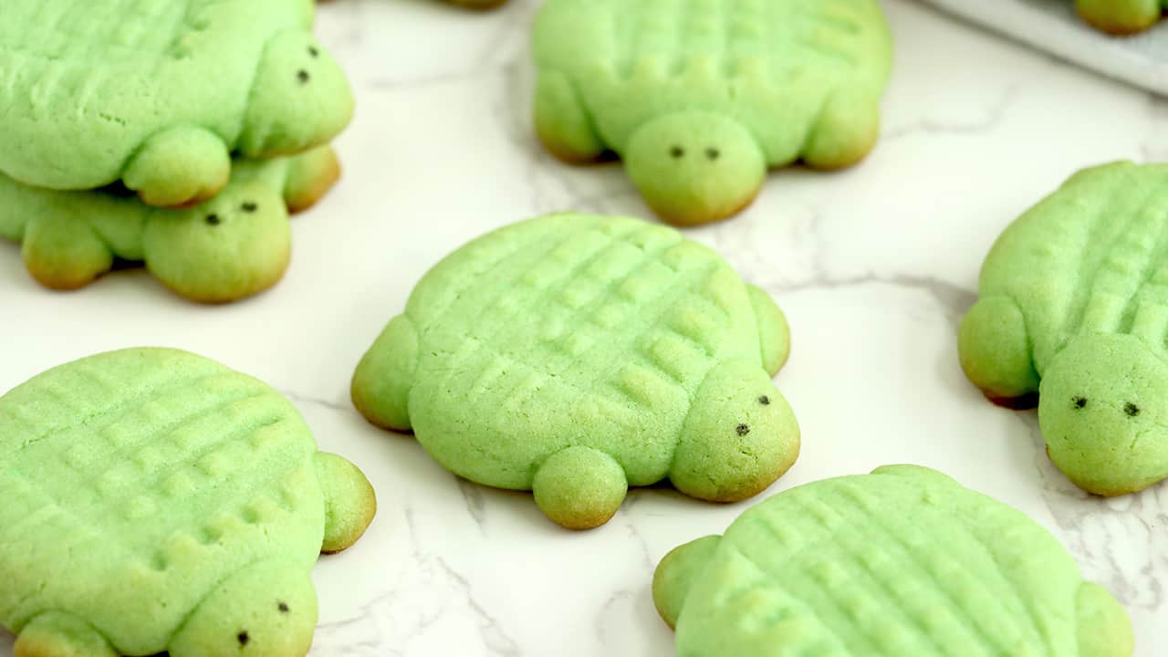 Turtle Sugar Cookies - Inspirational Momma