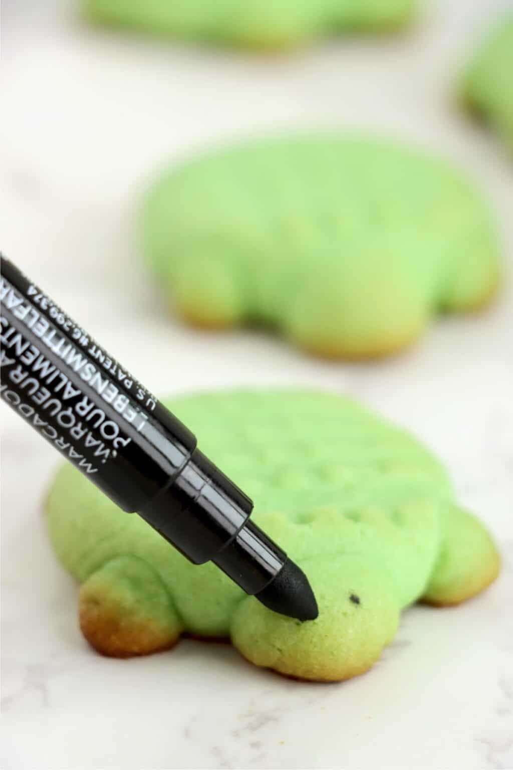 Turtle Sugar Cookies - Inspirational Momma