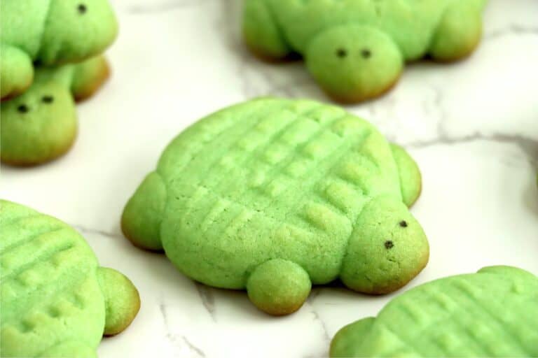 Turtle Sugar Cookies - Inspirational Momma