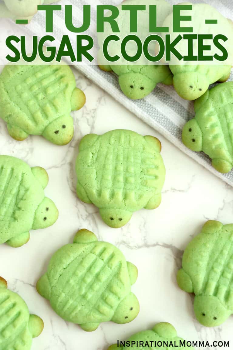 Turtle Sugar Cookies - Inspirational Momma