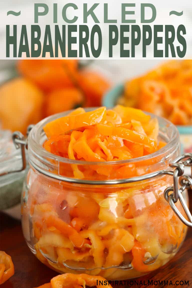 Pickled Habanero Peppers - Inspirational Momma