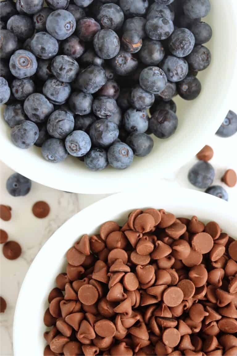 Chocolate Covered Blueberries - Inspirational Momma